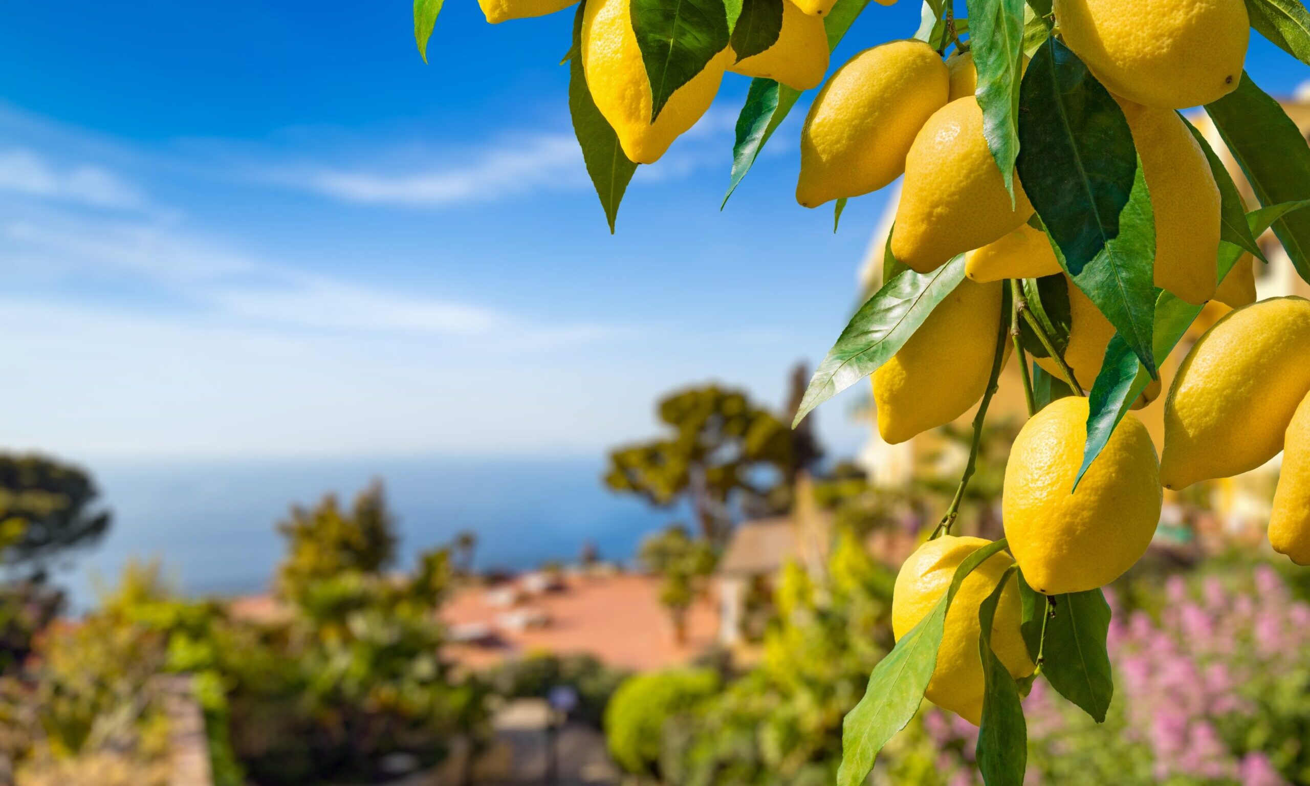Flora and fauna of Italy - italiaplus.com